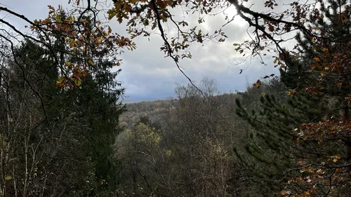 10 najlepszych łatwych szlaków w: Ardeny | AllTrails