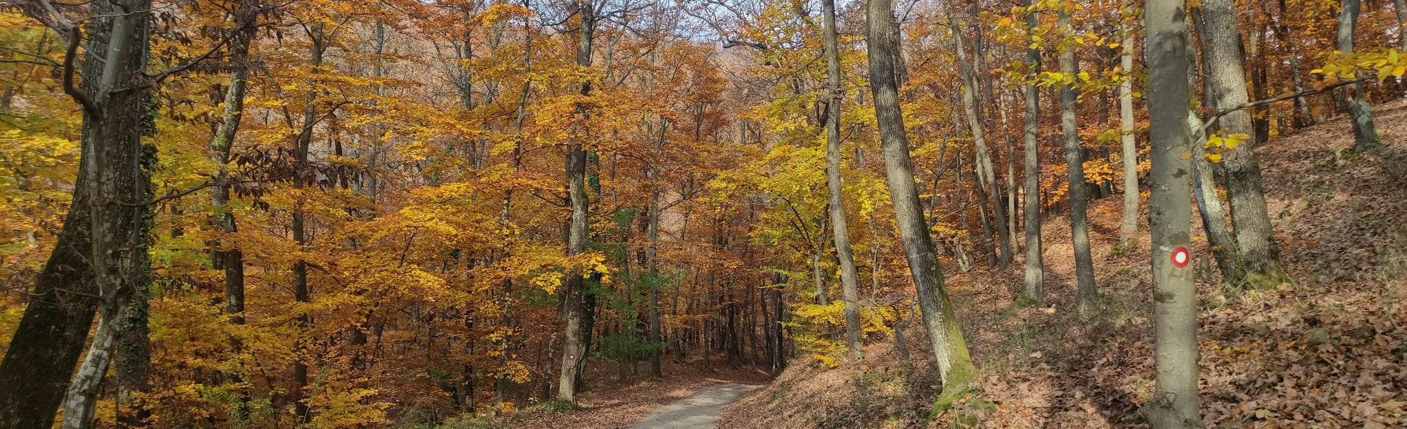 Pregrada - Kostelgrad - Kunagora: 18 Fotos - Krapina-Zagorje, Kroatien ...