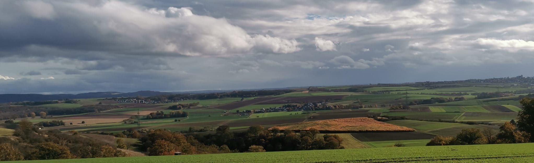 AllTrails | Premium walking trail: Paradiesweg Polch: 13 Reviews, Map ...