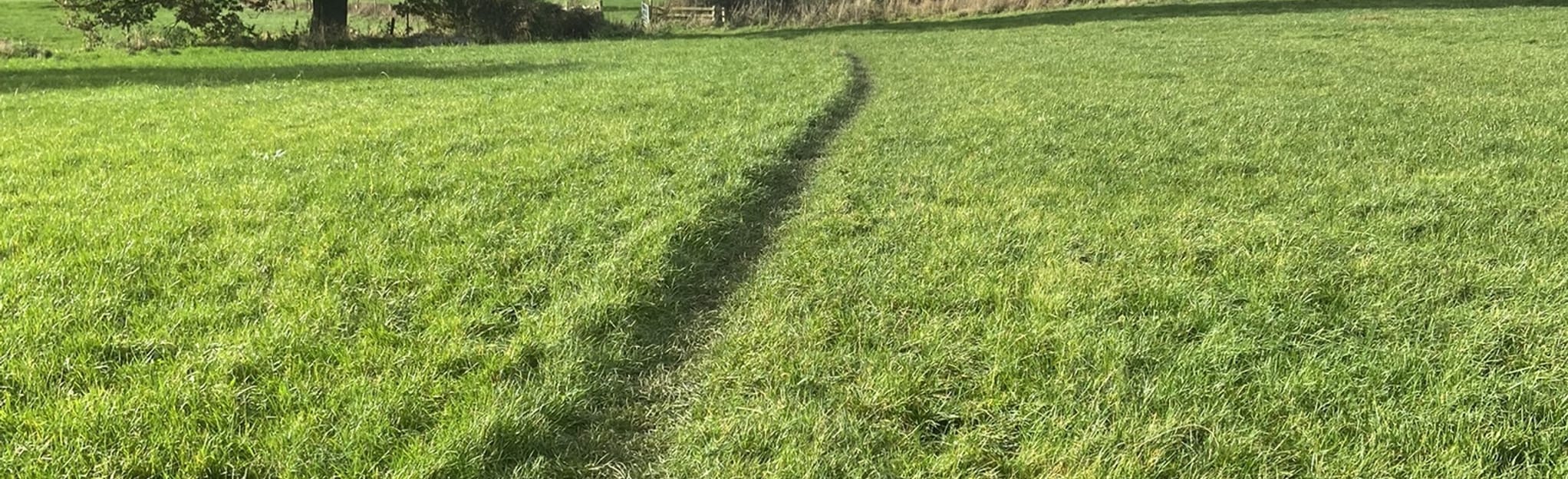 Haslington Circular | Map, Guide - Cheshire, England | AllTrails