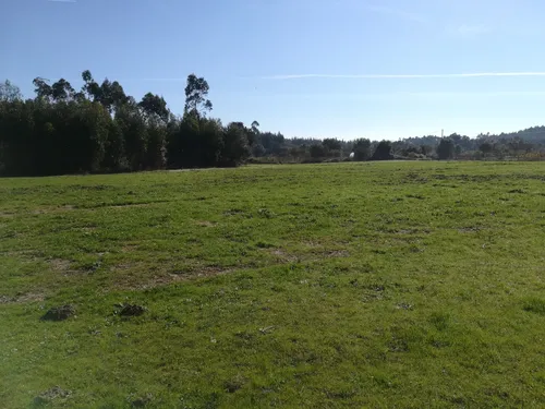Best Hikes and Trails in Reserva Natural do Paul de Arzila | AllTrails