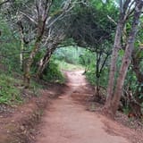Majik Forest via Amandel Dam, Western Cape, South Africa - 24 Reviews ...