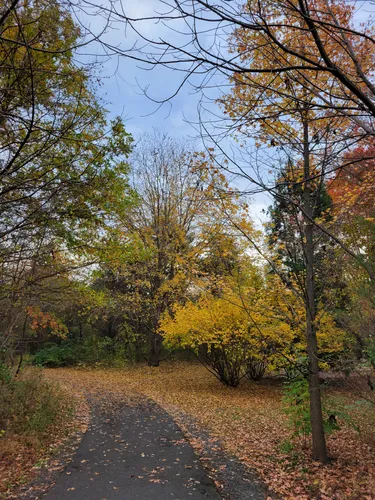 10 Best Walking Trails in Reston | AllTrails