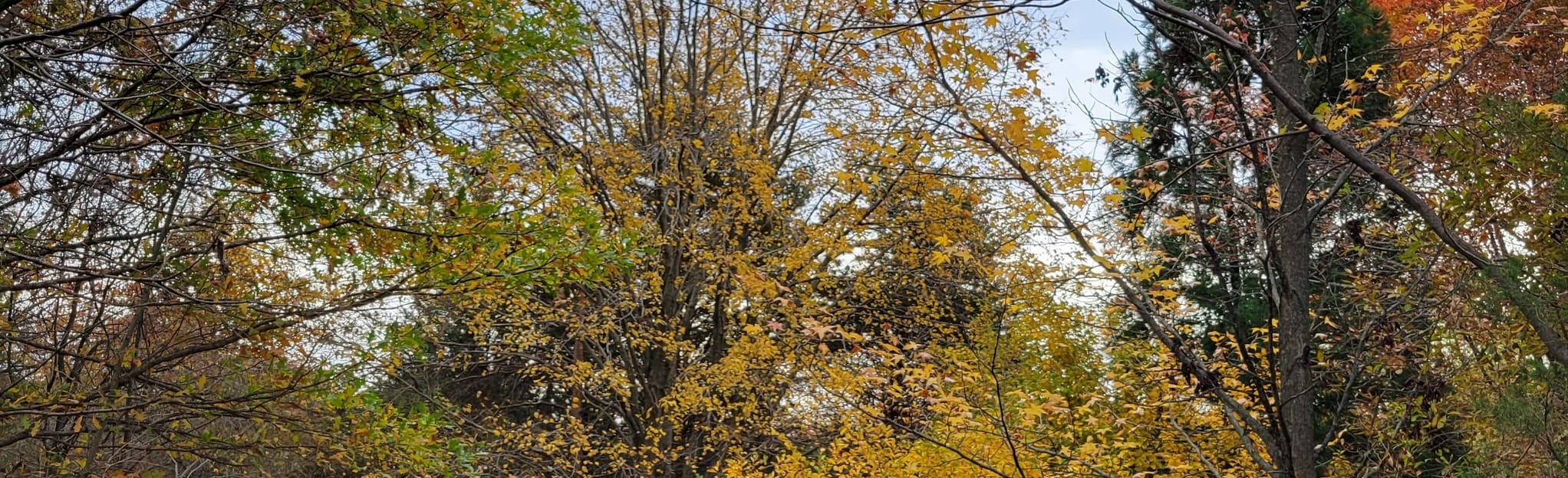 Stratton Woods Park Walk | Map, Guide - Virginia | AllTrails