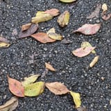 Kokosing Gap Trail to Mohican Valley Trail, Ohio - 292 Reviews, Map ...
