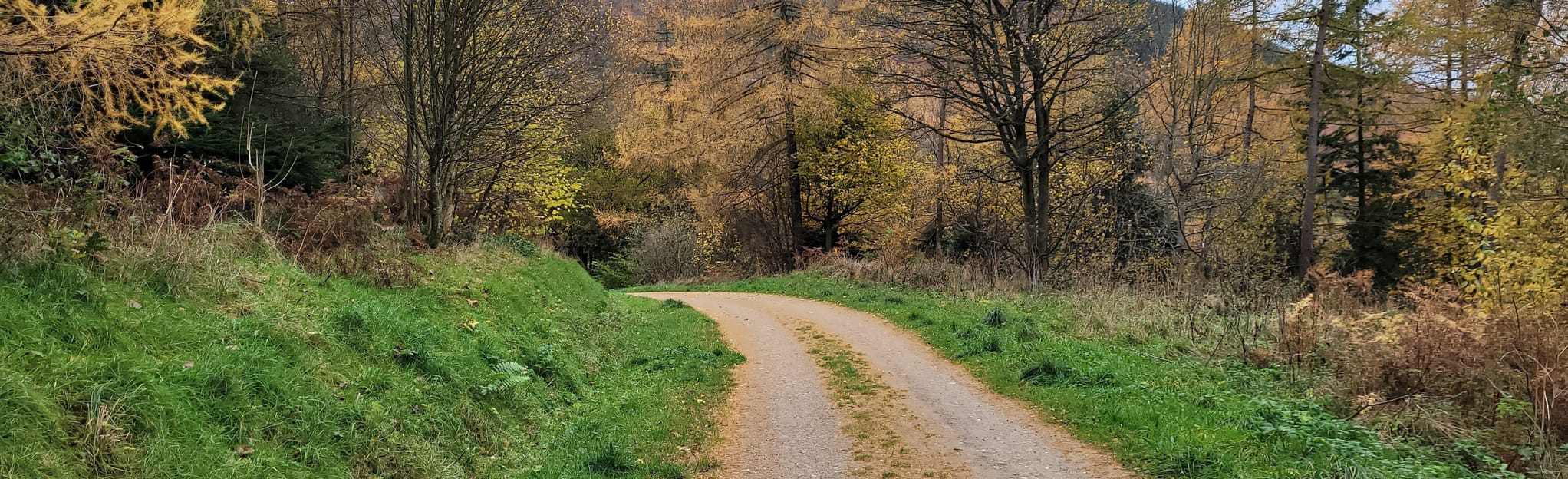 Clay Bank, Round Hill and Greenhow Plantation Circular, North Yorkshire ...