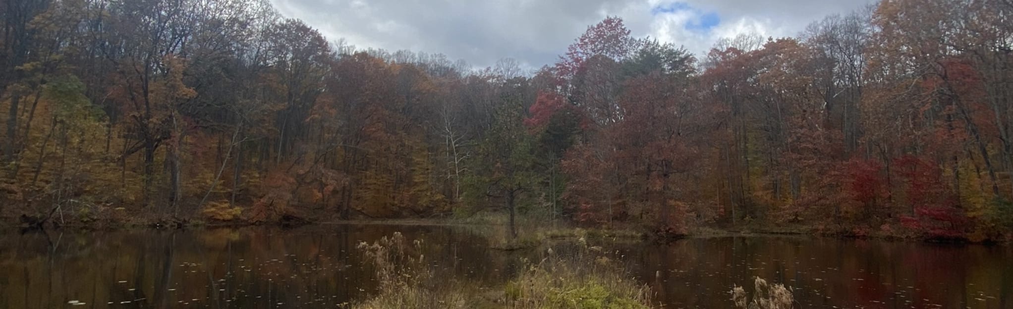 Alley Park Outer Loop: 81 Reviews, Map - Ohio | AllTrails