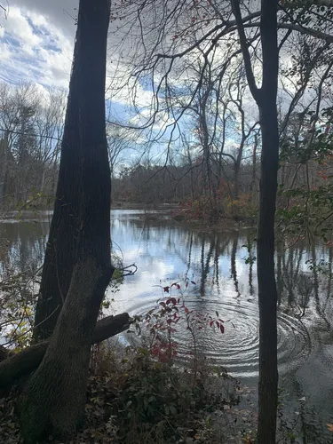Best Hikes and Trails in Barnes Woods Nature Preserve | AllTrails