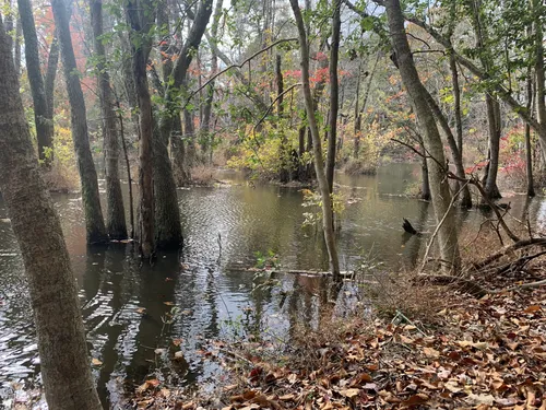 Best Hikes and Trails in Barnes Woods Nature Preserve | AllTrails