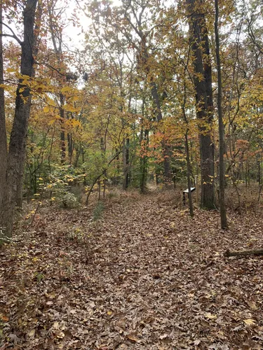 Best Hikes and Trails in Barnes Woods Nature Preserve | AllTrails