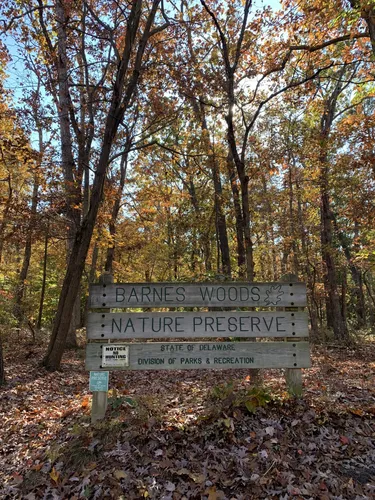 Best Hikes and Trails in Barnes Woods Nature Preserve | AllTrails