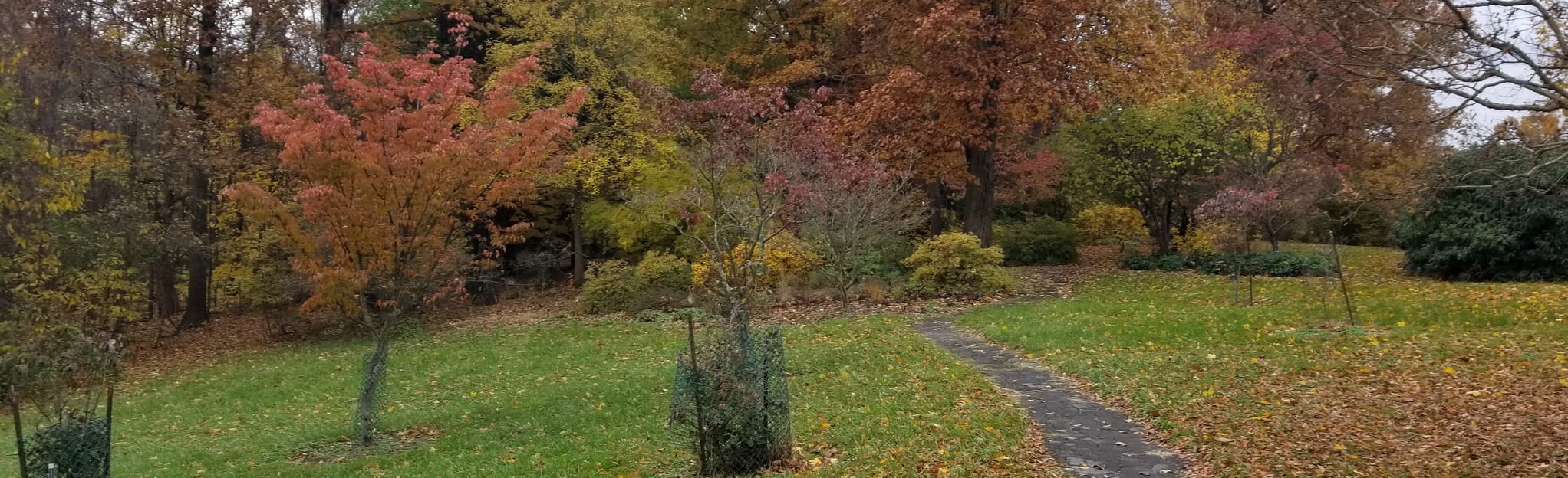 Mt. Airy Forest Outer Loop: 42 Reviews, Map - Ohio | AllTrails