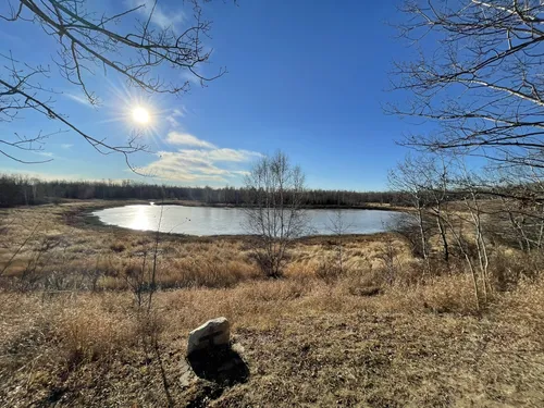 10 Best Cross Country Skiing Trails in Cooking Lake/Blackfoot ...