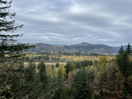 Best Hikes and Trails in Guy W. Talbot State Park | AllTrails