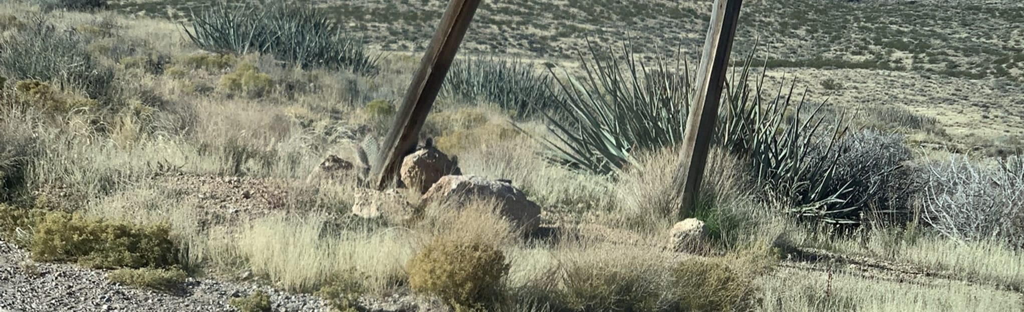 Cedar Pocket Overlook, Arizona - 10 Reviews, Map | AllTrails