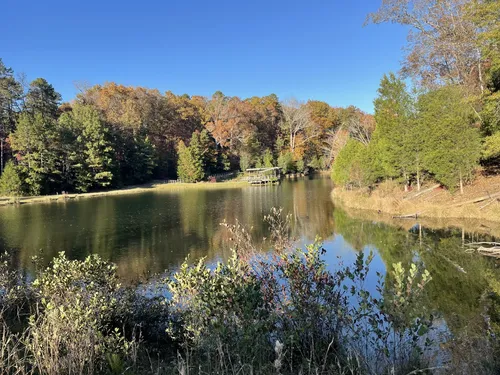 Best Camping Trails in Sumter National Forest | AllTrails