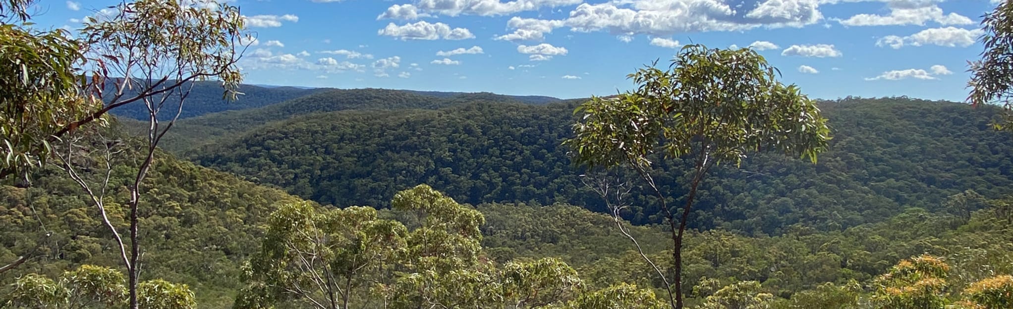 Mount Kuring-gai to Cowan via Lyrebird Gully Track and GNW, New South ...