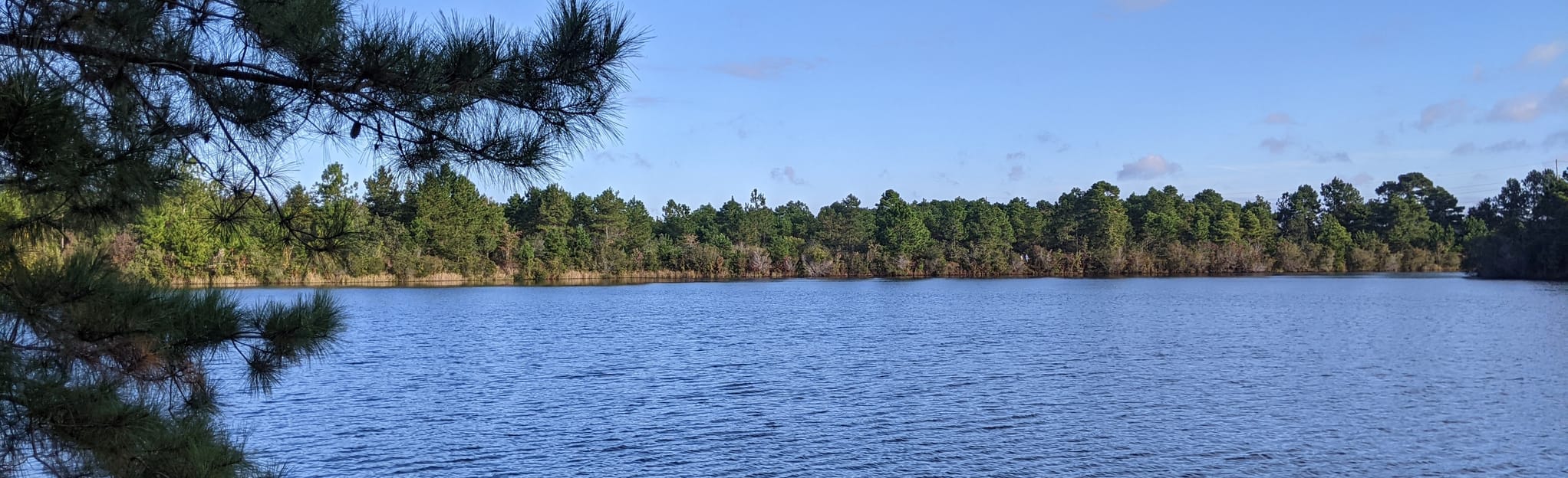 Forestbrooke Conservation Area Pond Trail, South Carolina - 28 Reviews ...