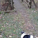 Genesee County Park and Forest Trail, New York - 284 Reviews, Map ...