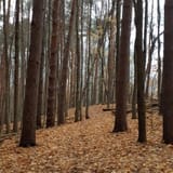 Genesee County Park and Forest Trail, New York - 284 Reviews, Map ...