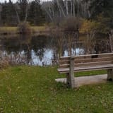 Genesee County Park and Forest Trail, New York - 284 Reviews, Map ...