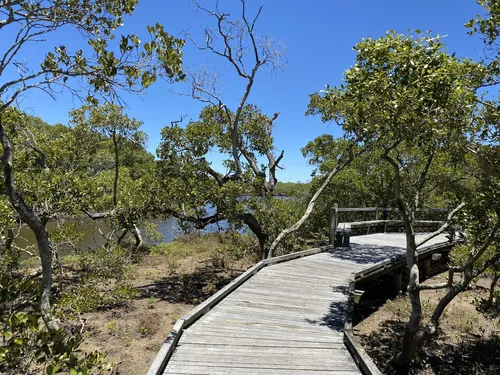 Best River Trails in Moreton Bay Marine Park | AllTrails