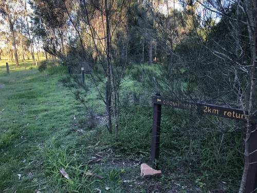 Best Hikes and Trails in Oxley Creek Common | AllTrails