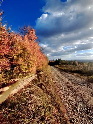2023 Best Lake Trails in Chráněná krajinná oblast (CHKO) Bílé Karpaty ...