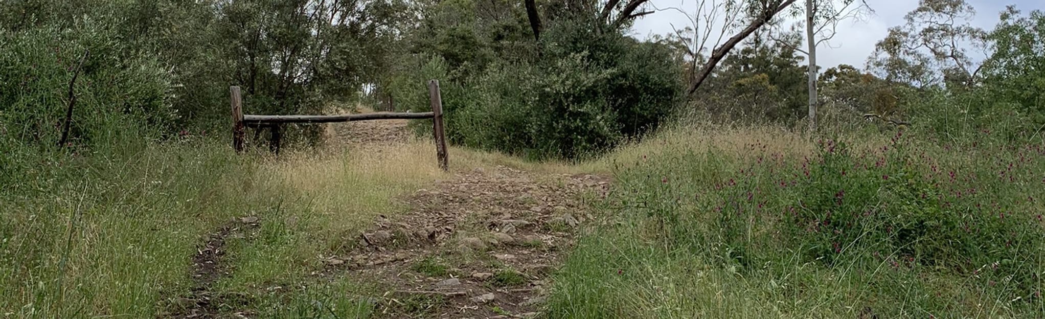 Sturt Gorge Explorer: 9 Reviews, Map - South Australia, Australia ...