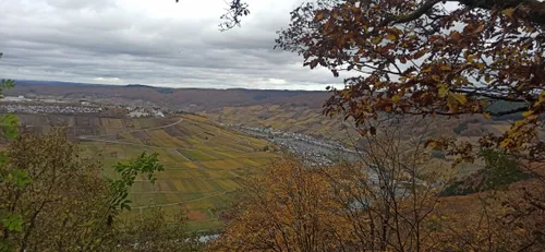 Best Hikes and Trails in Briedel | AllTrails