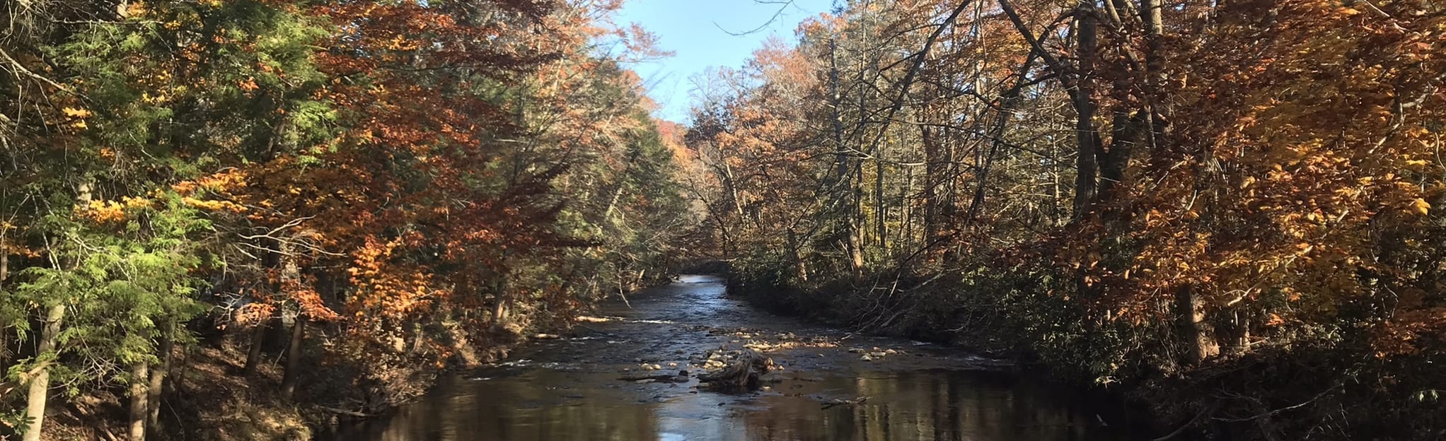 Davidson River Exercise Trail, North Carolina - 196 Reviews, Map ...