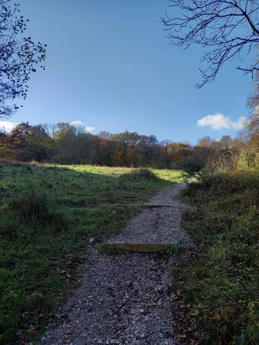 10 Best Hikes and Trails in Blackdown Hills National Landscape (AONB ...