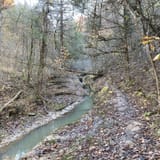 Cecil Cove Loop Trail, Arkansas - 157 Reviews, Map | AllTrails