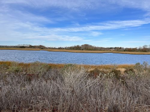 Best Hikes and Trails in Orient Beach State Park | AllTrails