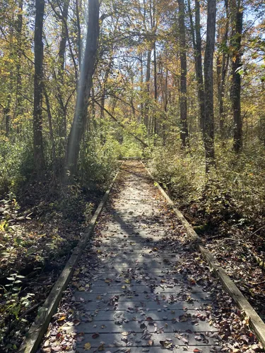 10 Best Hikes and Trails in Great Dismal Swamp National Wildlife Refuge ...