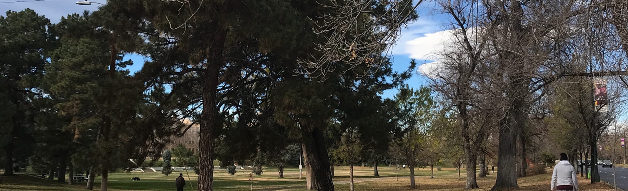 Sunken Gardens Park Loop, Colorado - 54 Reviews, Map | AllTrails