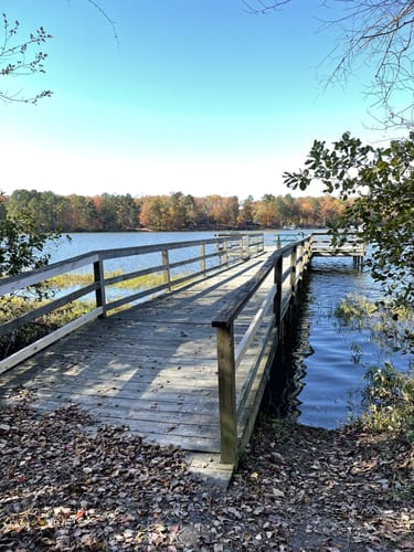 Best Hikes and Trails in Buck Spring Plantation | AllTrails