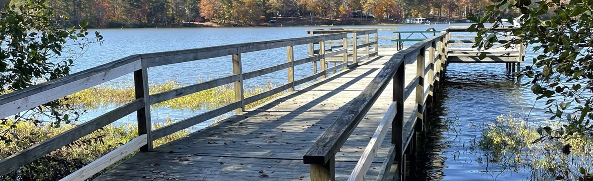 Buck Spring Graveyard, North Carolina - 24 Reviews, Map | AllTrails