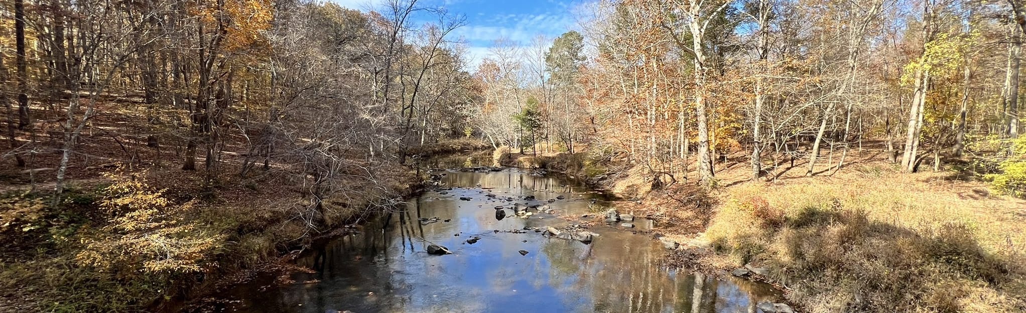 Cox Mountain Trail, North Carolina - 2,425 Reviews, Map | AllTrails