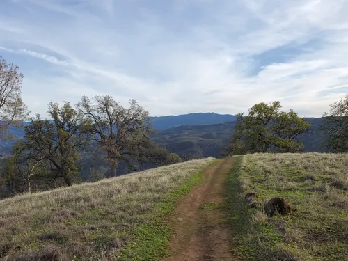 10 Best Hikes and Trails in Cache Creek Wilderness | AllTrails