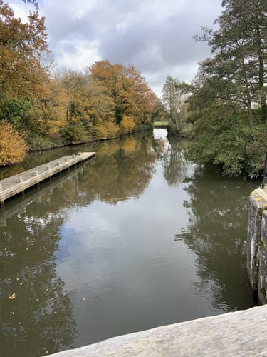 2023 Best 10 Mountain Biking Trails in Kent | AllTrails