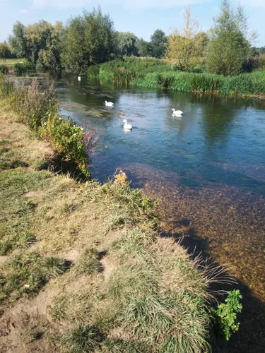 Best Hikes and Trails in Canford Park SANG | AllTrails