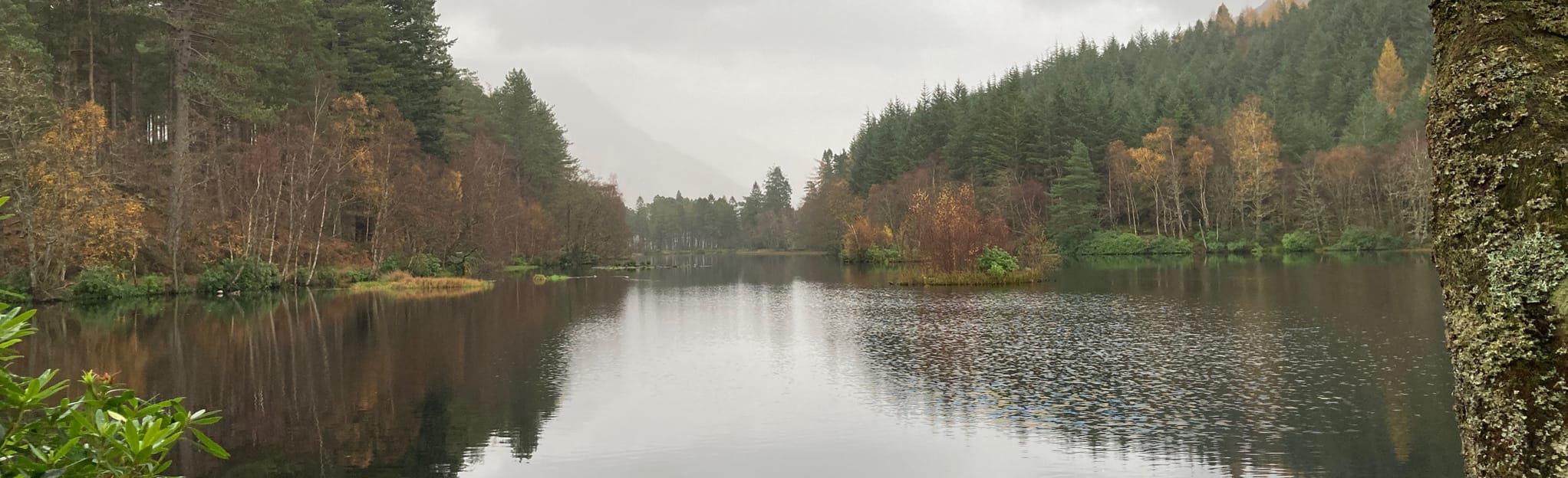 Glencoe Lochan and Forest Circular, Highlands, Scotland - 133 Reviews ...