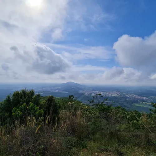 Best Forest Trails in Bahau | AllTrails