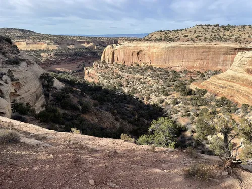 10 Best Hikes and Trails in Black Ridge Canyons Wilderness | AllTrails