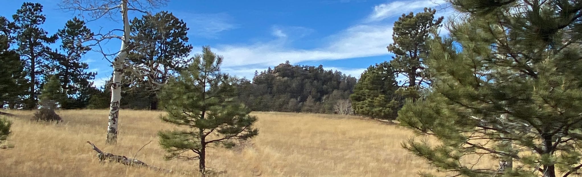 Tanner Trail via East Bear Gulch Trailhead | Map, Guide - Colorado ...