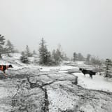 Manning Trail, New Hampshire - 172 Reviews, Map | AllTrails