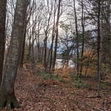 Mooween State Park Loop , Connecticut - 387 Reviews, Map | AllTrails
