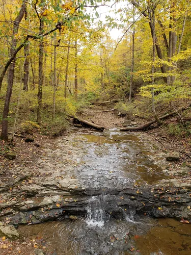 10 Best Trails and Hikes in Madison | AllTrails