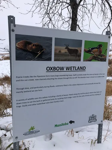 2023 Best Wild Flowers Trails in Pipestone | AllTrails 2023 Best Wild Flowers Trails in Pipestone | AllTrails